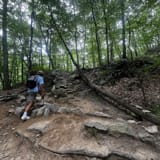 Mount Tammany via Red Dot and Blue Dot Loop Trail, New Jersey - 13,769 ...