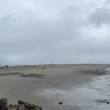 Damon Point State Park Trail, Washington - 513 Reviews, Map | AllTrails