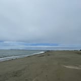 Damon Point State Park Trail, Washington - 513 Reviews, Map | AllTrails