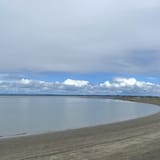 Damon Point State Park Trail, Washington - 513 Reviews, Map | AllTrails