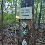 Alum Hollow Trail, Alabama - 1,026 Reviews, Map | AllTrails
