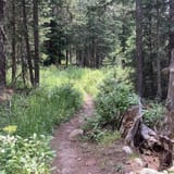 North Fork Big Thompson River Trail Via Dunraven Trailhead, Colorado ...
