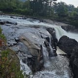 Ferncliff Trail, Pennsylvania - 1,599 Reviews, Map | AllTrails