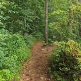 Ferncliff Trail, Pennsylvania - 1,599 Reviews, Map | AllTrails