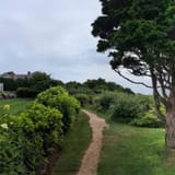 Sconset Bluff Path, Massachusetts - 315 Reviews, Map | AllTrails