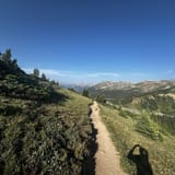 Mount Flora Trail, Colorado - 4,335 Reviews, Map | AllTrails
