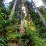 Ravenna Gorge Trail, Baden-Wuerttemberg, Germany - 370 Reviews, Map ...