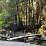 Rockefeller Loop Trail, California - 715 Reviews, Map | AllTrails