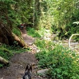 Ravenna Gorge Trail, Baden-Wuerttemberg, Germany - 370 Reviews, Map ...