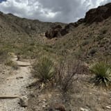 Aztec Cave Trail, Texas - 1,747 Reviews, Map | AllTrails