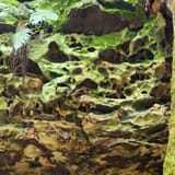 Panther Den Loop, Illinois - 1,079 Reviews, Map | AllTrails