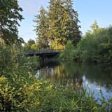 Pre's Trail, Oregon - 868 Reviews, Map | AllTrails