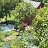 Alley Spring Overlook Trail, Missouri - 341 Reviews, Map | AllTrails