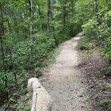 Alley Spring Overlook Trail, Missouri - 341 Reviews, Map | AllTrails