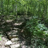 Alley Spring Overlook Trail, Missouri - 341 Reviews, Map | AllTrails