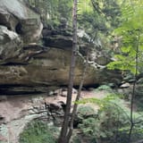 Hemlock Cliffs National Scenic Trail, Indiana - 1,407 Reviews, Map ...