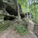 Hemlock Cliffs National Scenic Trail, Indiana - 1,407 Reviews, Map ...