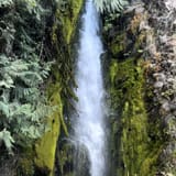 Staircase Rapids Loop, Washington - 2,874 Reviews, Map | AllTrails