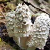 Windolph Landing Preserve Trail, Pennsylvania - 95 Reviews, Map | AllTrails