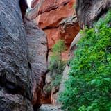 Spring Creek Canyon, Utah - 1,422 Reviews, Map | AllTrails