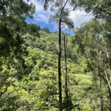 Makiki Valley Loop, Oahu, Hawaii - 5,796 Reviews, Map | AllTrails