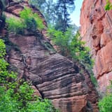 Spring Creek Canyon, Utah - 1,370 Reviews, Map | AllTrails