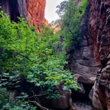 Spring Creek Canyon, Utah - 1,391 Reviews, Map | AllTrails