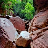 Spring Creek Canyon, Utah - 1,422 Reviews, Map | AllTrails