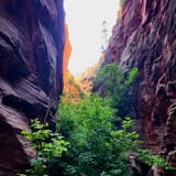 Spring Creek Canyon, Utah - 1,370 Reviews, Map | AllTrails