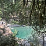 Four Stream Trail, Washington - 186 Reviews, Map | AllTrails