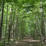 Midhurst Trail , Ontario, Canada - 1,544 Reviews, Map | AllTrails