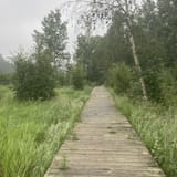 Amisk Wuche Trail, Alberta, Canada - 497 Reviews, Map | AllTrails