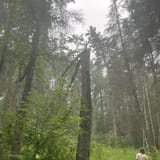 Amisk Wuche Trail, Alberta, Canada - 497 Reviews, Map | AllTrails