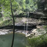 Greeter Falls Loop, Tennessee - 1,419 Reviews, Map | AllTrails