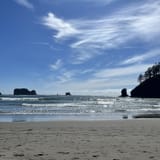 Second Beach, Washington - 1,918 Reviews, Map | AllTrails