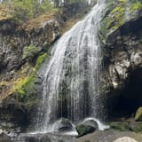 Little Mashel Falls Trail via Bud Blancher Trail, Washington - 4,135 ...