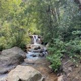 Seven Bridges Trail, Colorado - 8,187 Reviews, Map | AllTrails