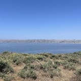 Tomales Point Trail, California - 7,234 Reviews, Map | AllTrails