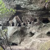 Hidden Arch Trail, Kentucky - 1,248 Reviews, Map | AllTrails