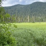 Hyas Lake Trail, Washington - 250 Reviews, Map | AllTrails