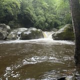 Mouse Creek Falls via Big Creek Trail, Tennessee - 3,041 Reviews, Map ...
