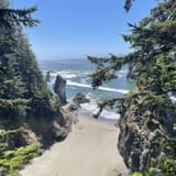 Secret Beach Trail, Oregon - 1,556 Reviews, Map | AllTrails