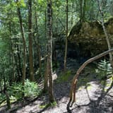 Cyprus Lake Trail, Ontario, Canada - 314 Reviews, Map | AllTrails