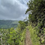 Manoa Cliff Trail, Oahu, Hawaii - 798 Reviews, Map | AllTrails