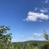 Tanglewood Nature Center - Personius Woods, New York - 78 Reviews, Map ...