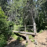 Mount Kit Carson Trail, Washington - 1,049 Reviews, Map | AllTrails