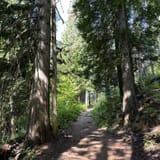 Mount Kit Carson Trail, Washington - 1,002 Reviews, Map | AllTrails