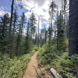 Mount Kit Carson Trail, Washington - 1,051 Reviews, Map | AllTrails