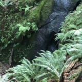 Chuckanut Falls, Washington - 635 Reviews, Map | AllTrails
