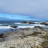 Asilomar State Beach and Coast Trail, California - 913 Reviews, Map ...